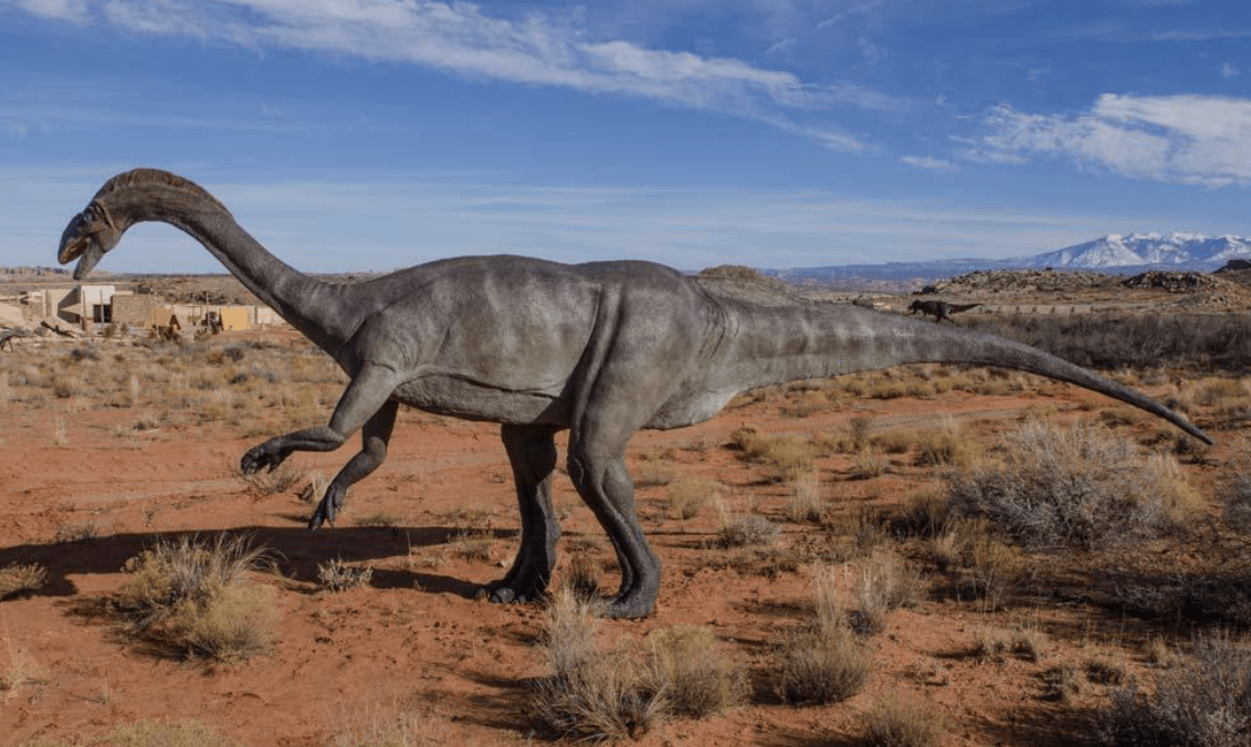 5 Accessible Adventures in Moab - National Ability Center